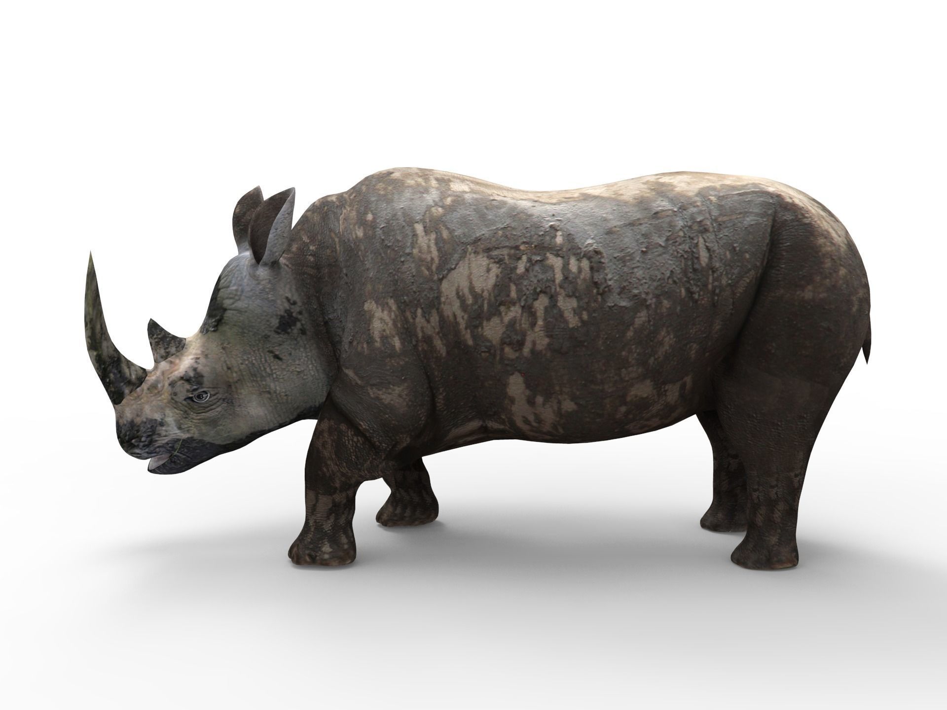 3D model 3D Dirty Rhino Model Rigged game ready VR / AR / low-poly ...