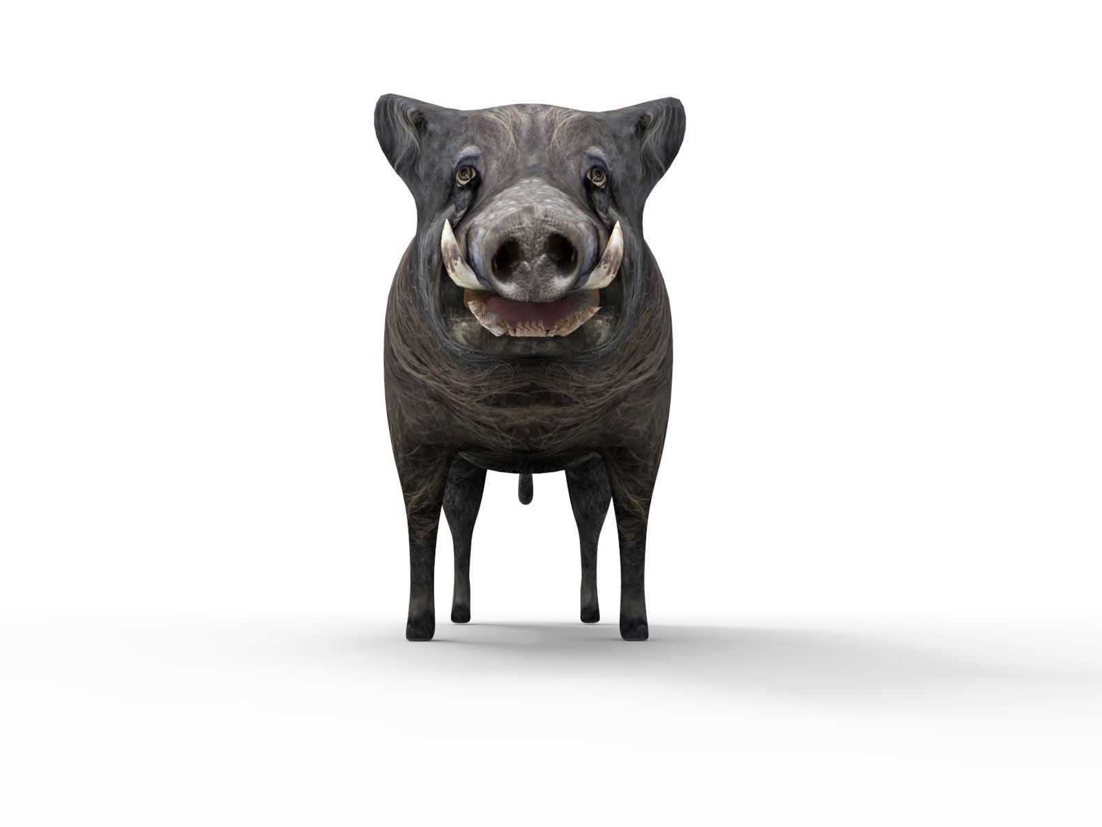 3D model 3D Boar Rigged 3D Models game ready VR / AR / low-poly rigged ...
