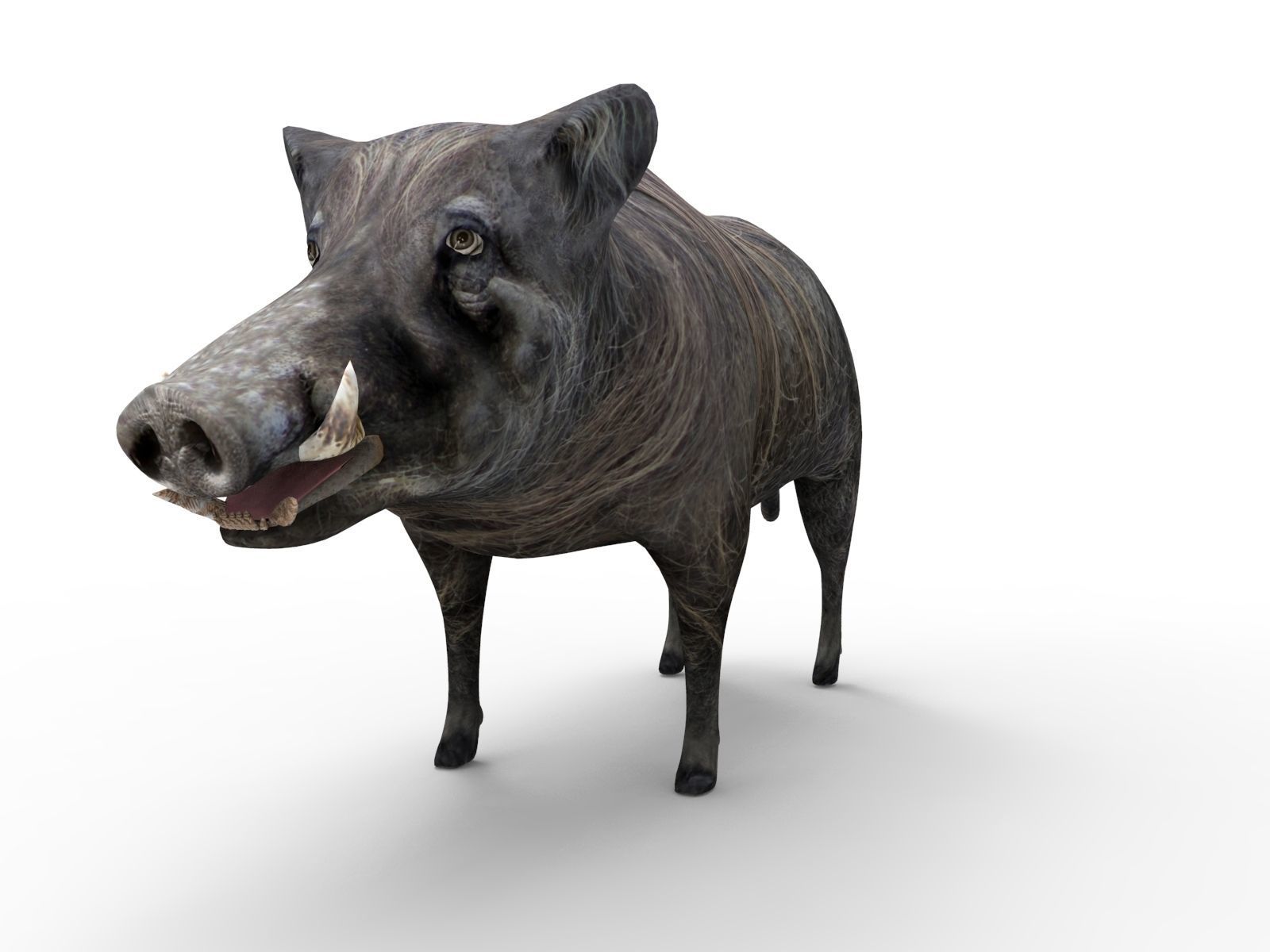 3D model 3D Boar Rigged 3D Models game ready VR / AR / low-poly rigged ...