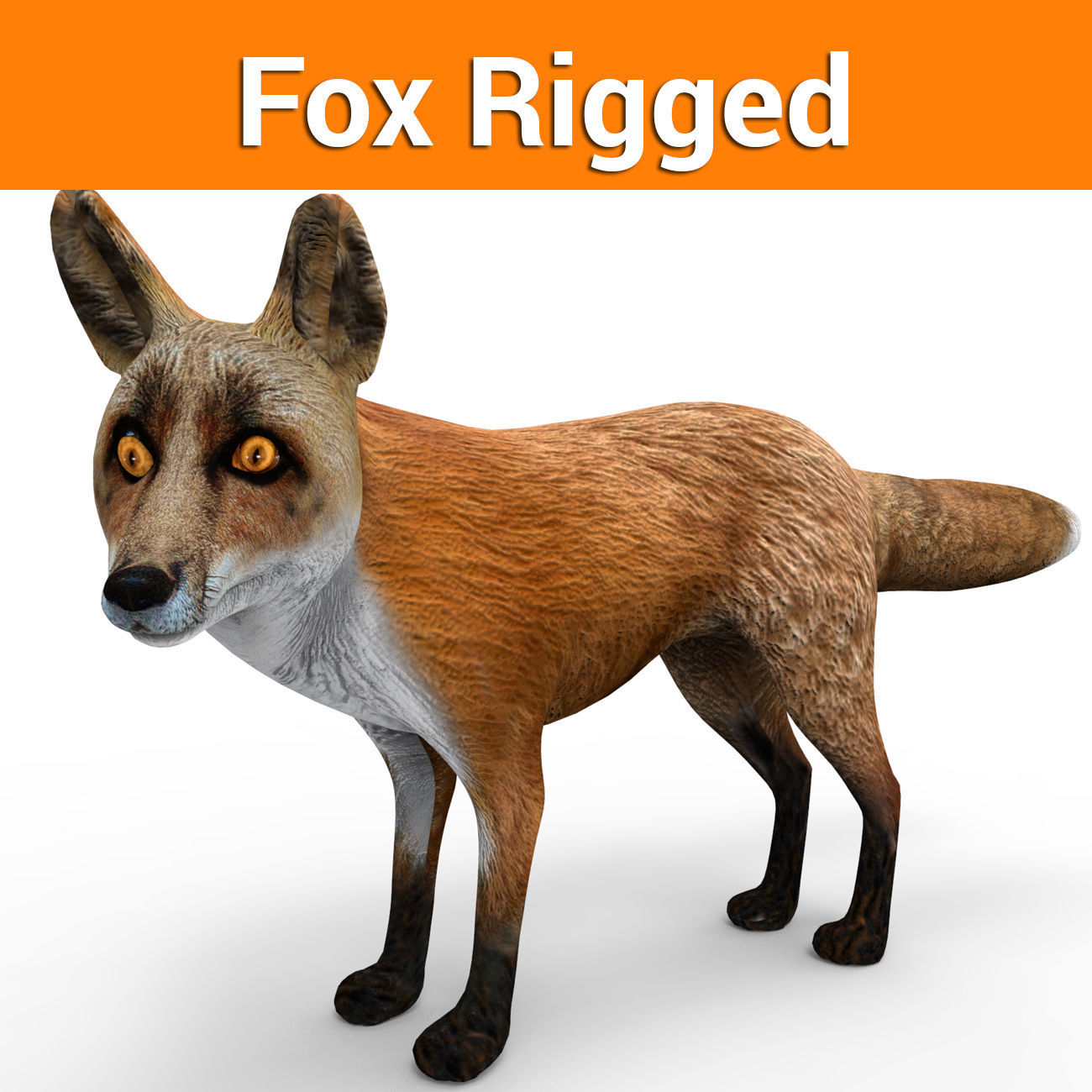 3D model 3D Fox rigged Model VR / AR / low-poly rigged | CGTrader