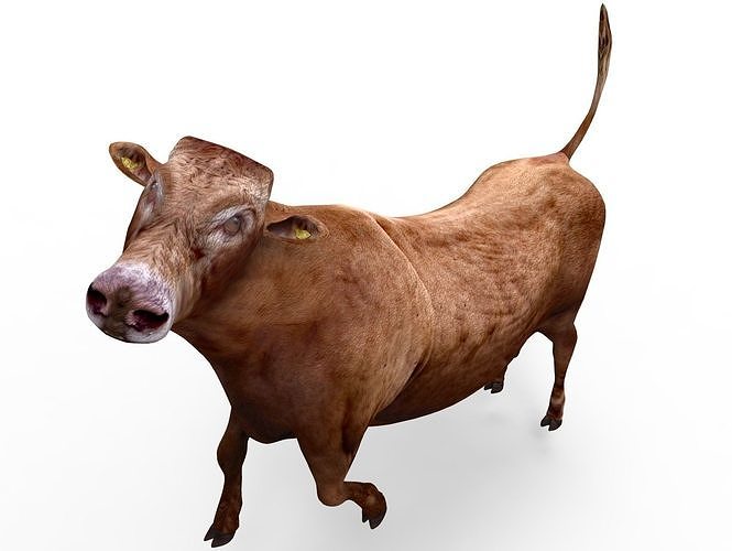 3D model 3D Red Cow Rigged Model VR / AR / low-poly rigged | CGTrader