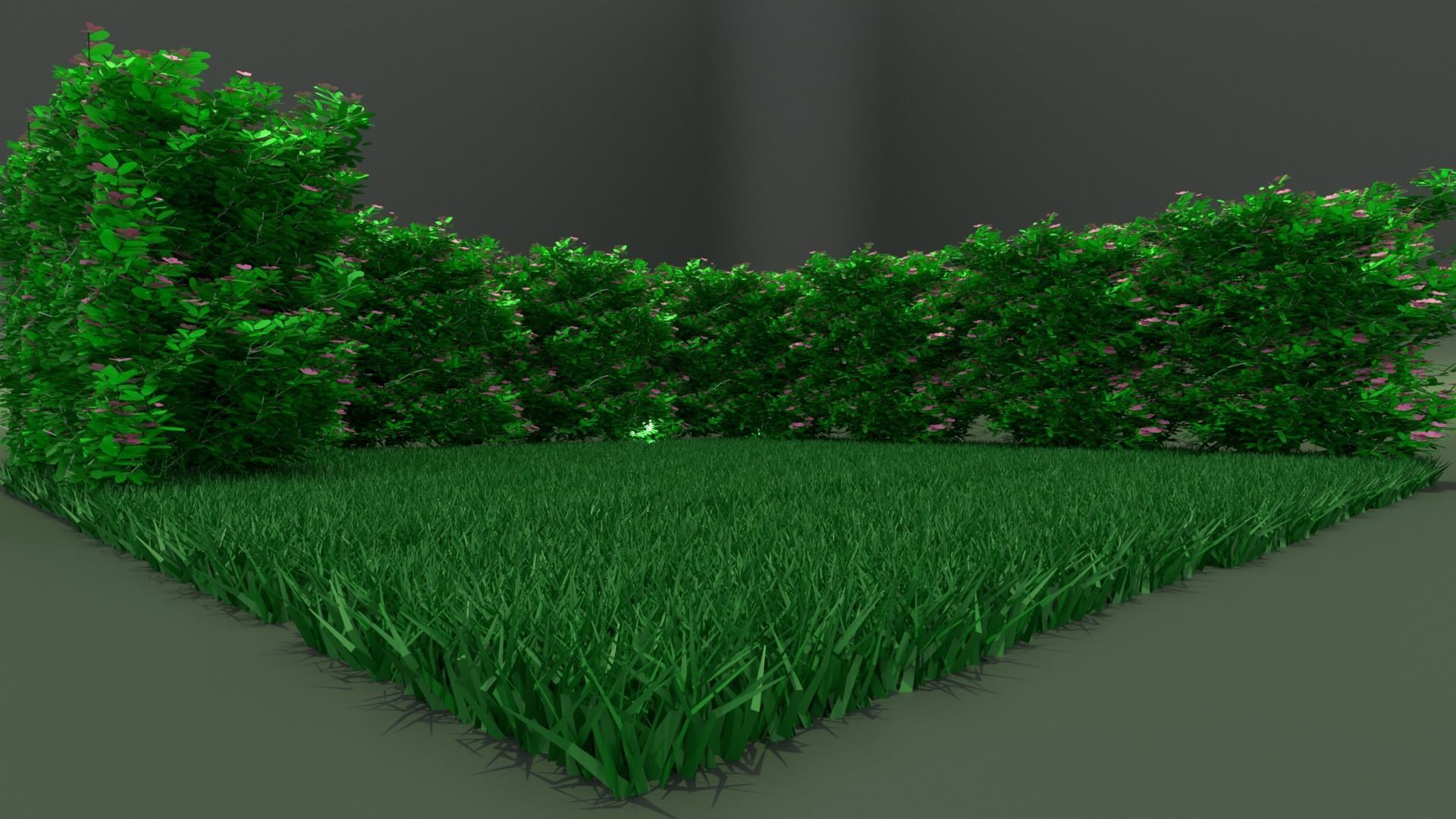 Hedge and Grass 3D model 3D model | CGTrader