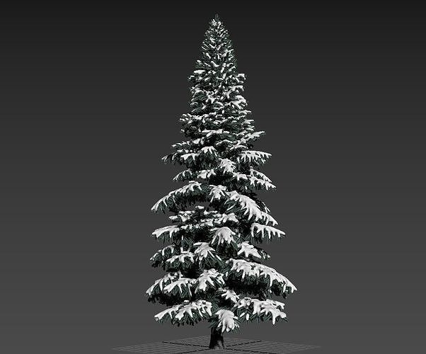 tree1 pine tree with snow free 3D model | CGTrader