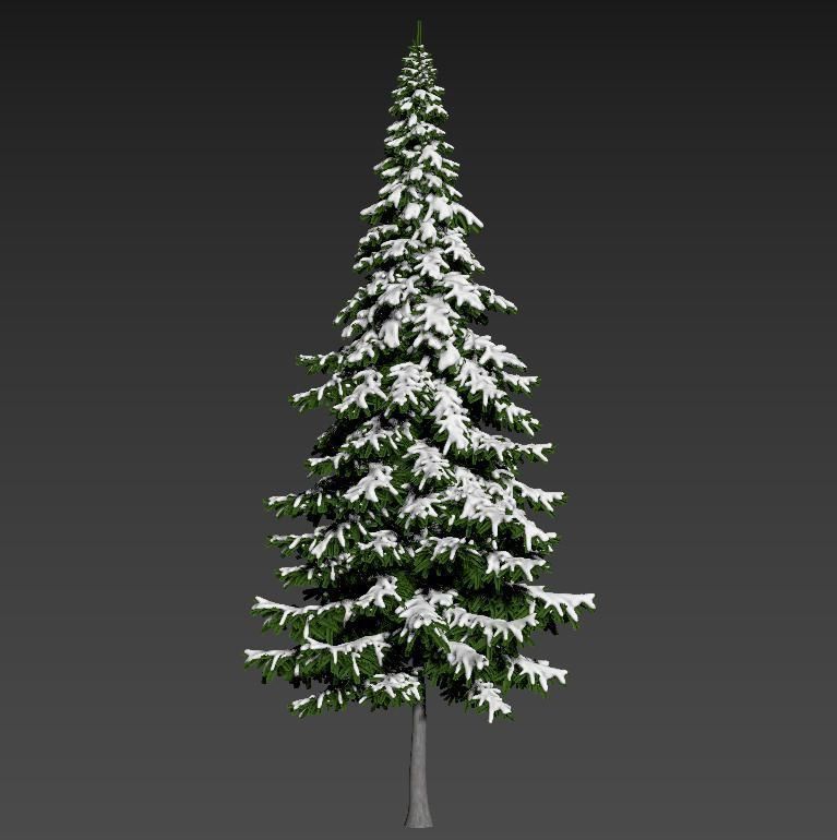 tree2 pine tree with snow free 3D model | CGTrader