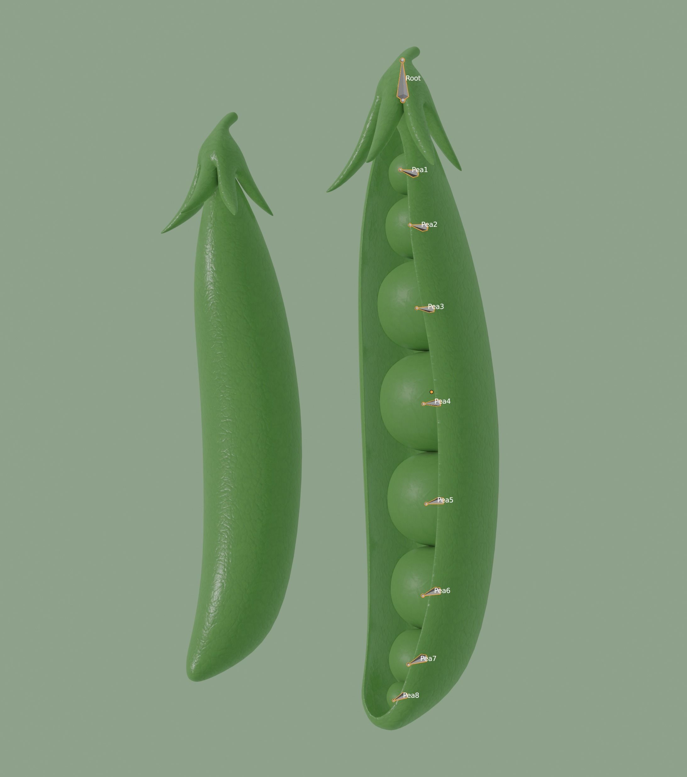 3D model Pea model VR / AR / low-poly | CGTrader