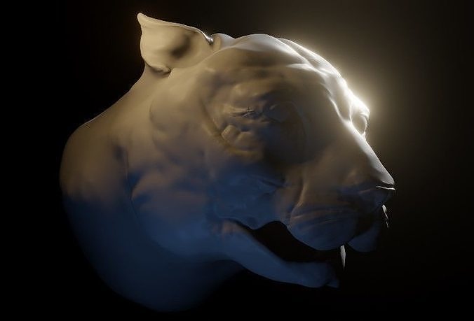 Tiger high poly sculpt free 3D model | CGTrader