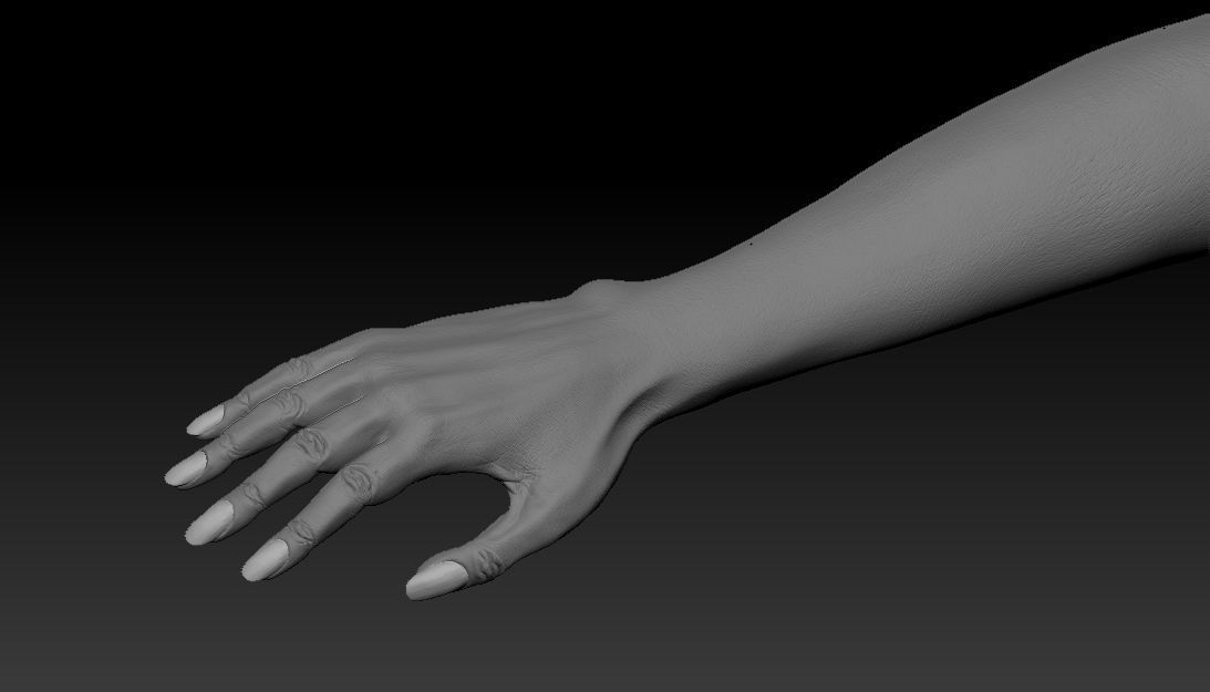 Realistic women hand 3D model | CGTrader