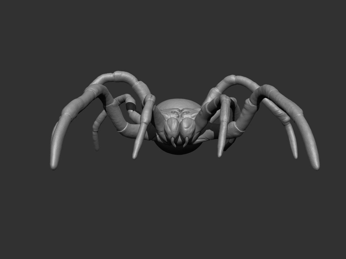 Tarantula Spider 3D model 3D printable | CGTrader