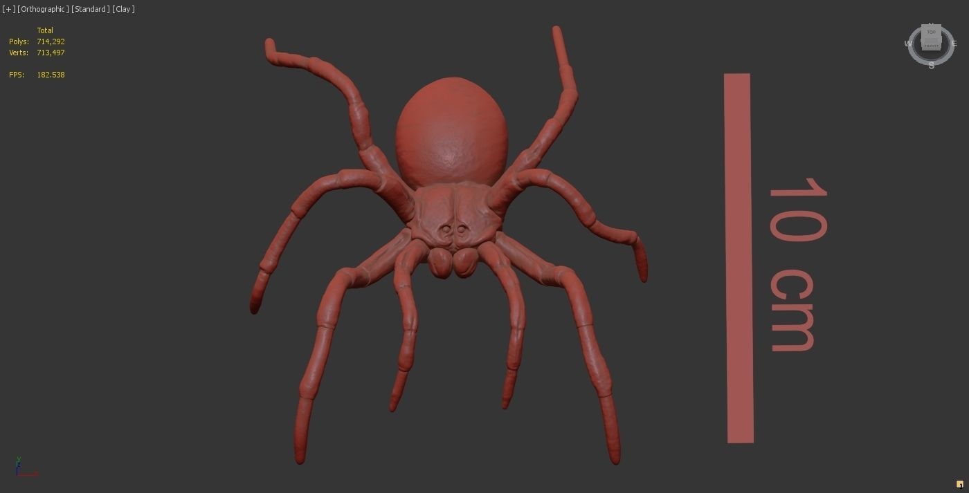 Tarantula Spider 3D model 3D printable | CGTrader
