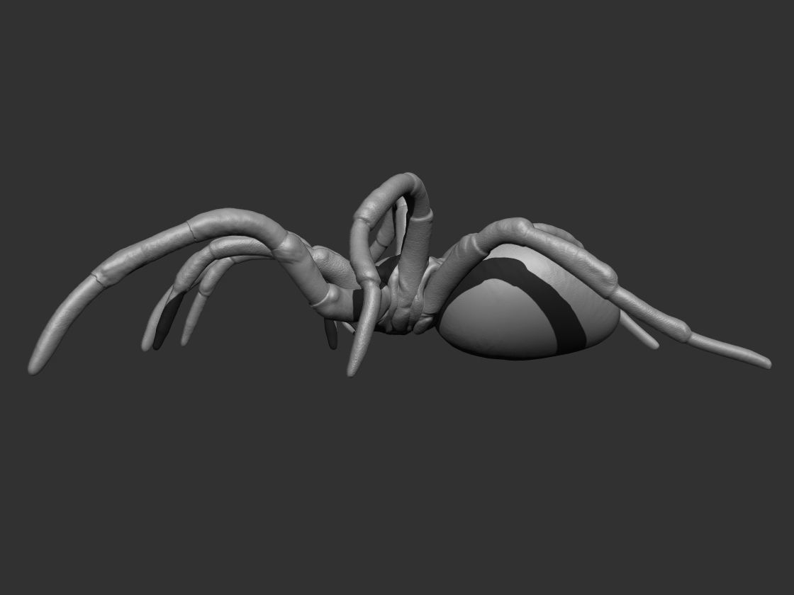 Tarantula Spider 3D model 3D printable | CGTrader
