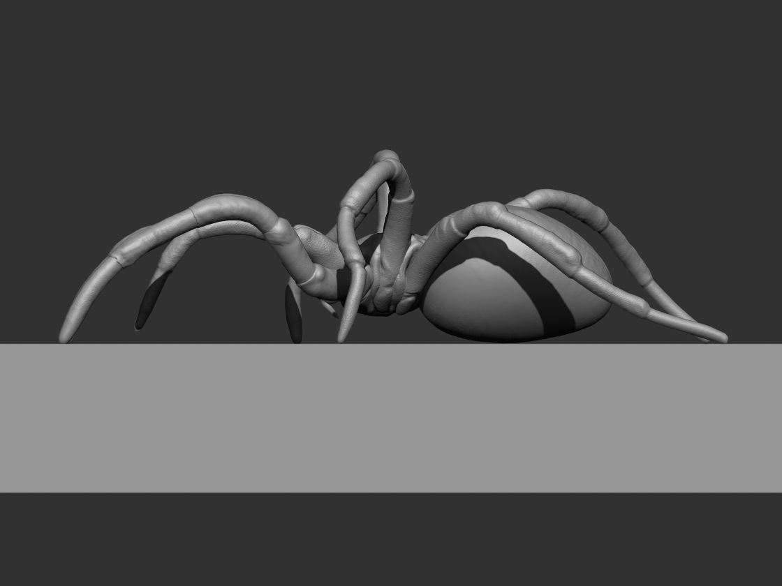 Tarantula Spider 3D model 3D printable | CGTrader