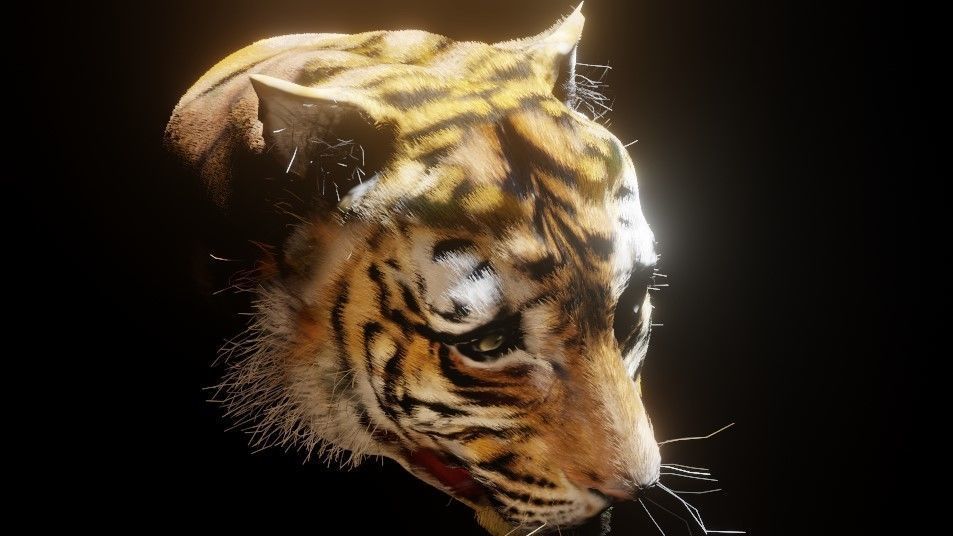 Tiger head blender free VR / AR / low-poly 3D model | CGTrader