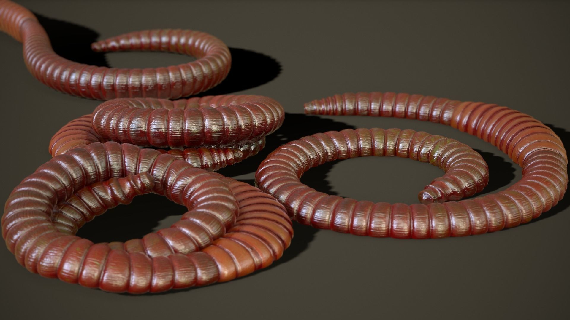 3D model Earthworms Rigged PBR VR / AR / low-poly rigged | CGTrader