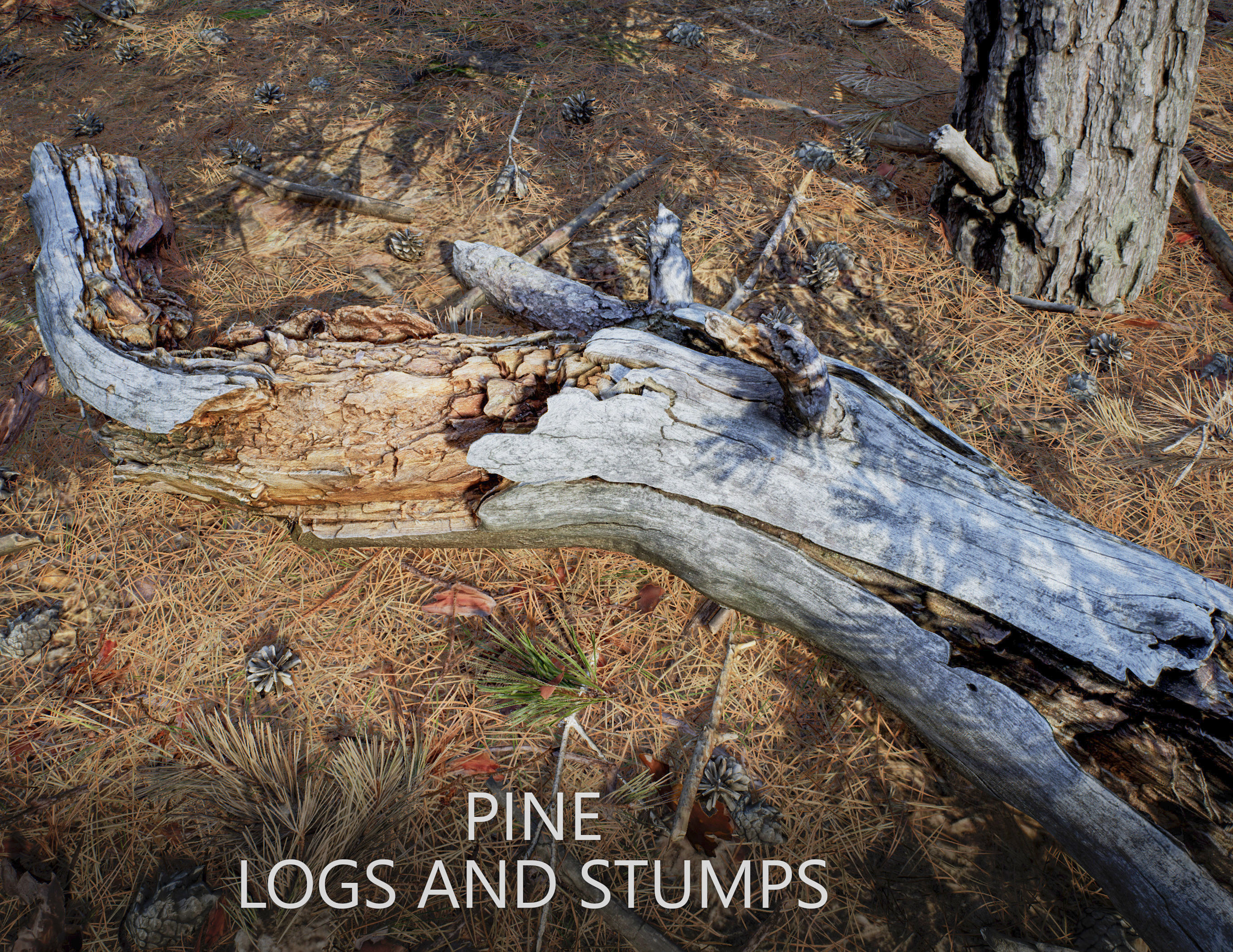 Conifer Pine Logs and Stumps Set 3D asset VR / AR ready