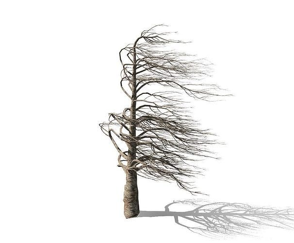 Stormy Winter Tree 3D model | CGTrader