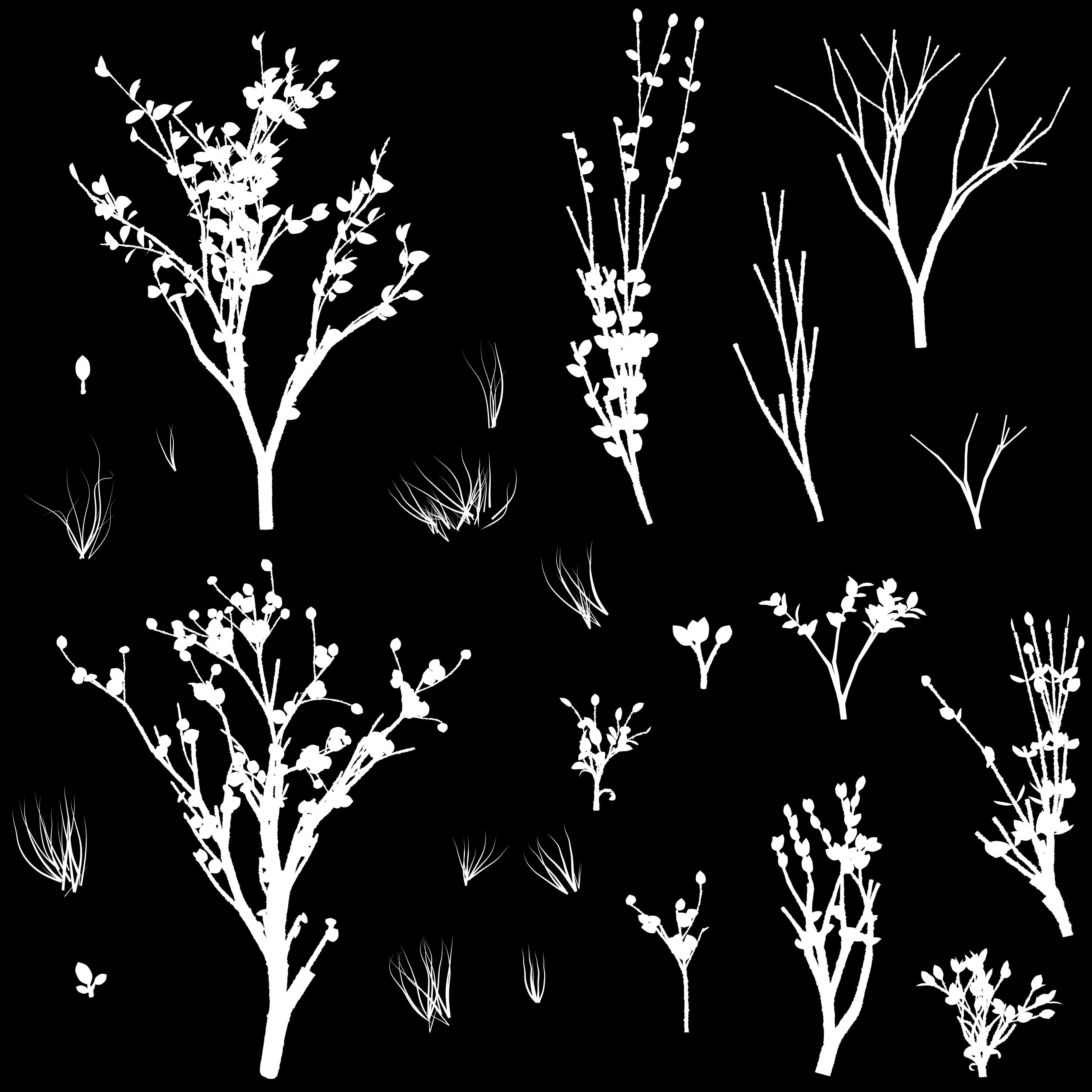 3D model Tree Creature Forest Ent VR / AR / low-poly | CGTrader