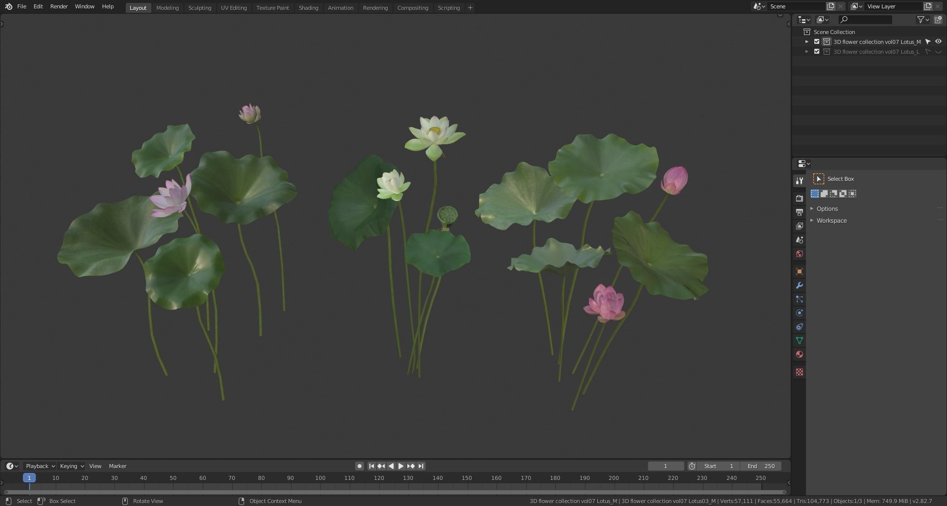 3D model Lotus Collection vol07 VR / AR / low-poly | CGTrader