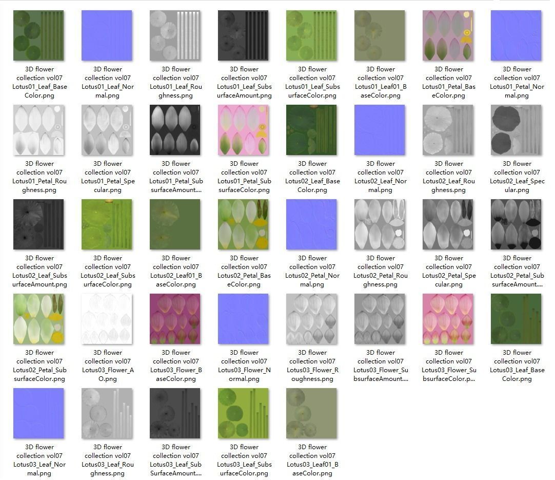 3D model Lotus Collection vol07 VR / AR / low-poly | CGTrader