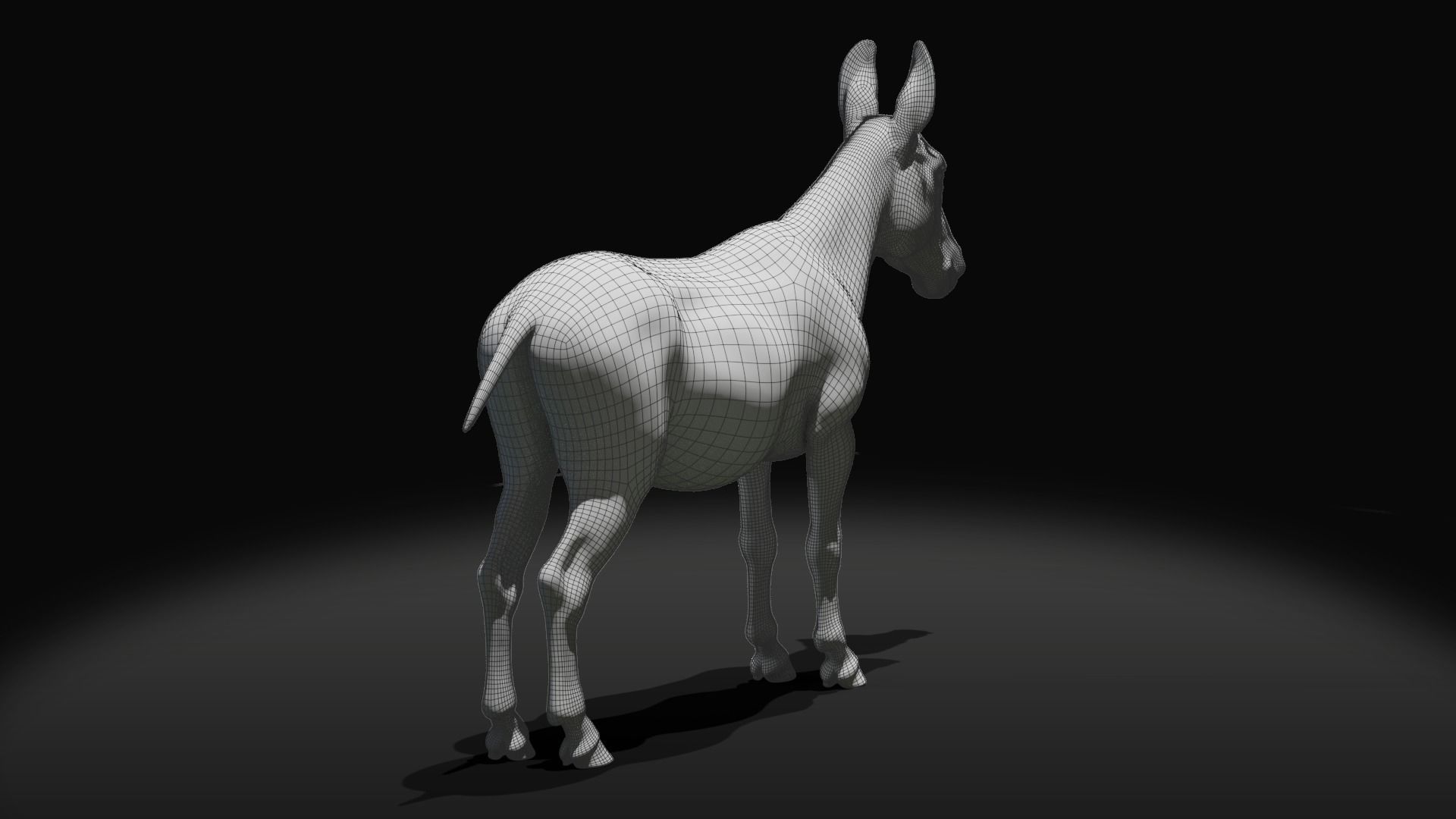 Grey Donkey Animated 3D model animated rigged | CGTrader