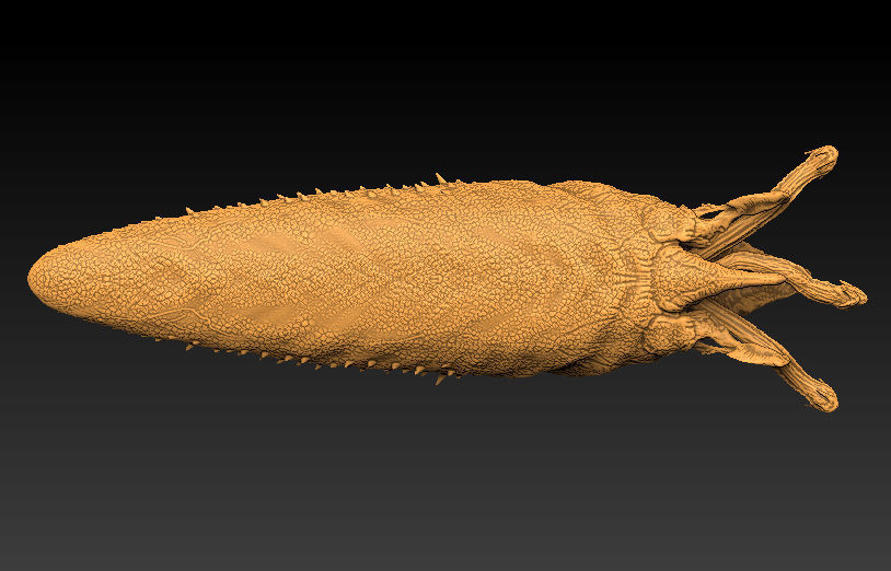 Tremors Graboid 3D model | CGTrader