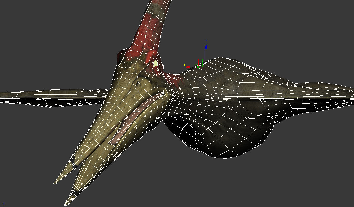 Pterodon 3D model | CGTrader