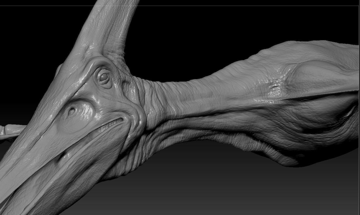 Pterodon 3D model | CGTrader