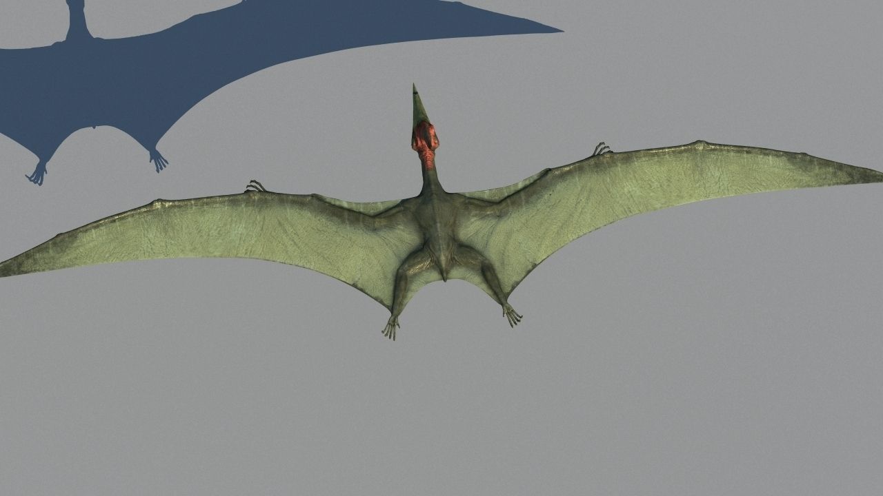 Pterodon 3D model | CGTrader