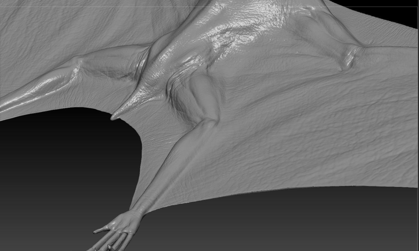 Pterodon 3D model | CGTrader