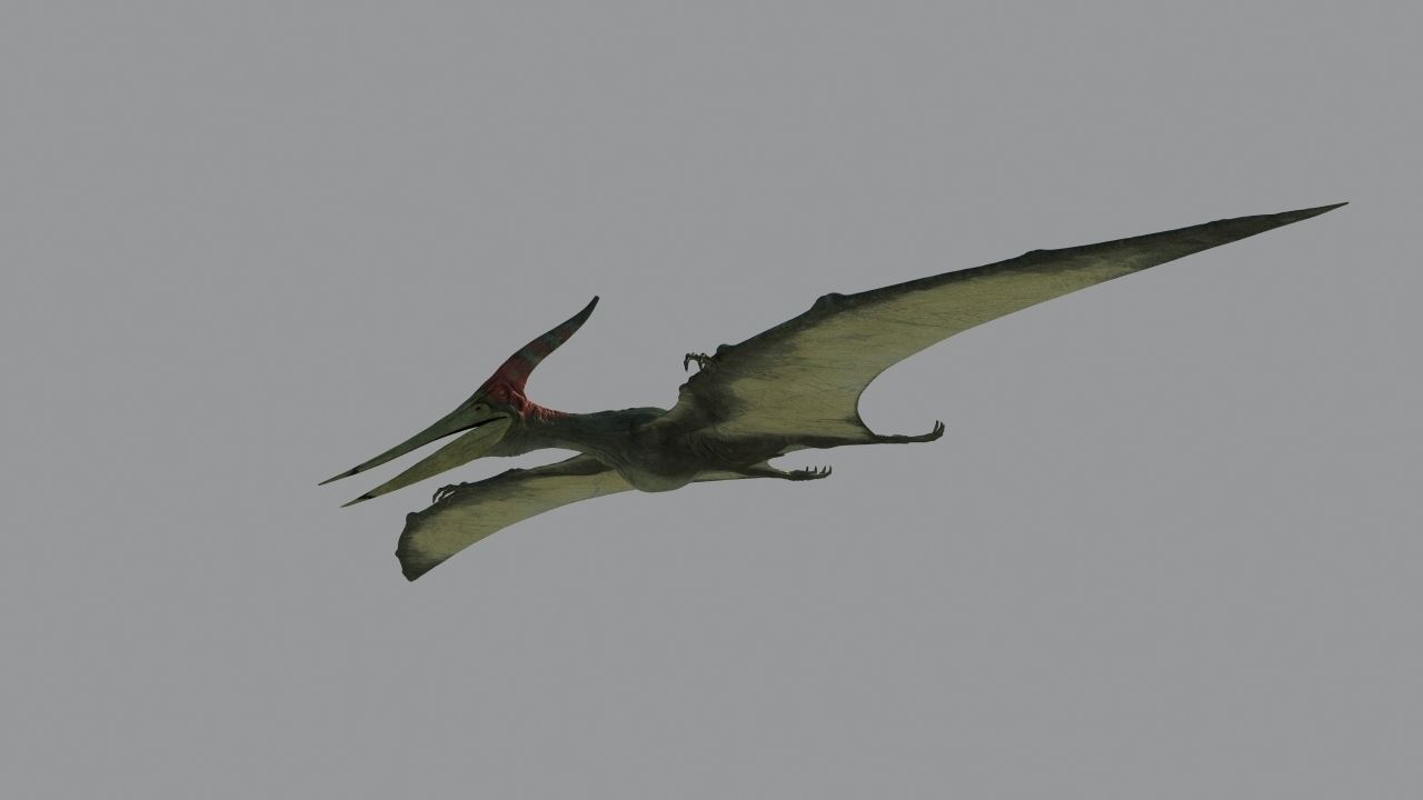 Pterodon dinosaur flying in sky 3D model | CGTrader