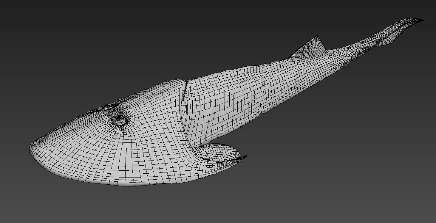 3D model Extinct fishes VR / AR / low-poly | CGTrader