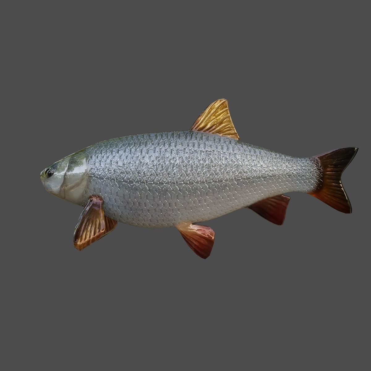 3D model Ide Fish Animated Model VR / AR / low-poly | CGTrader