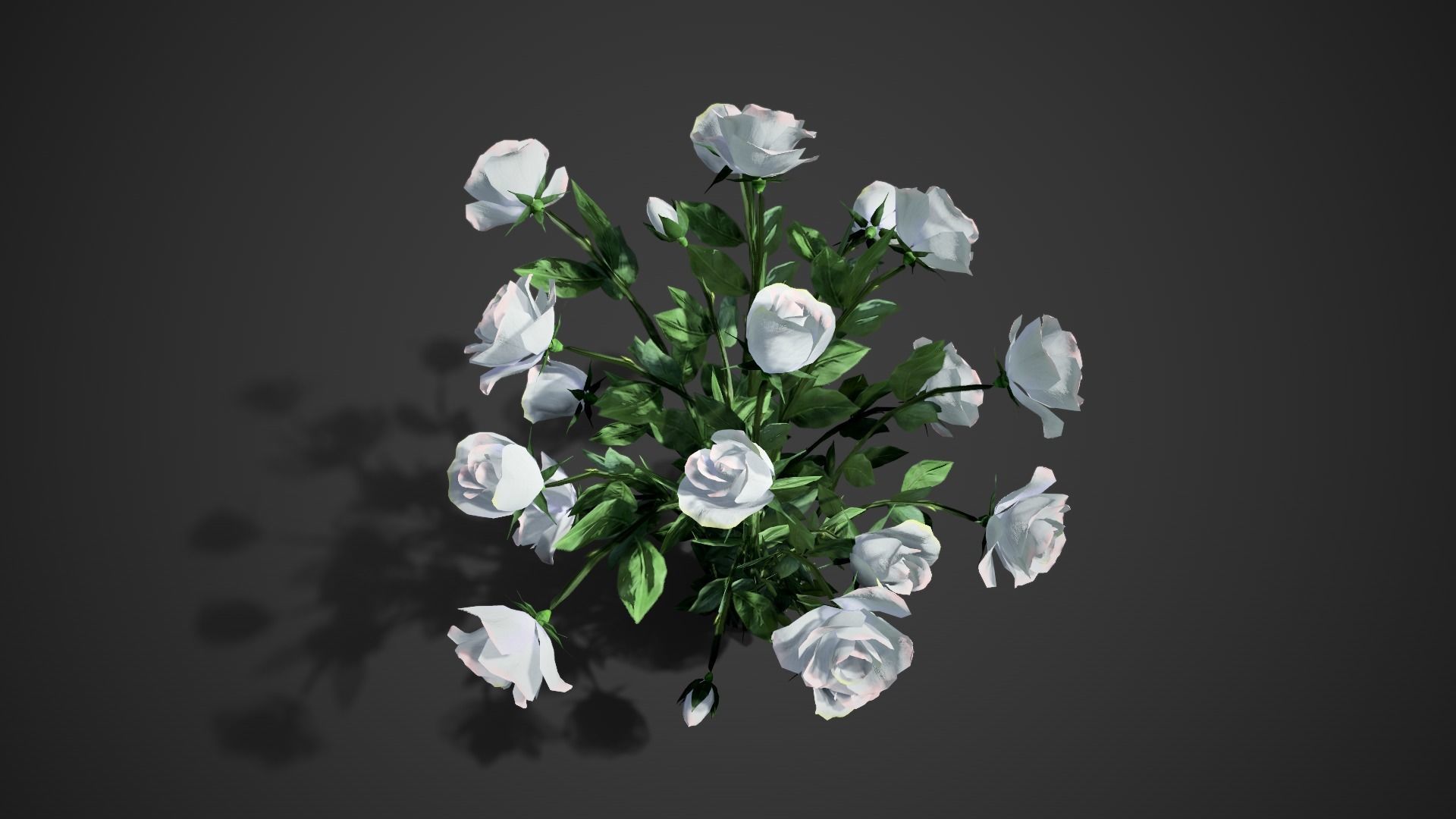 3D model Rose flowers bush white LOD VR / AR / low-poly | CGTrader