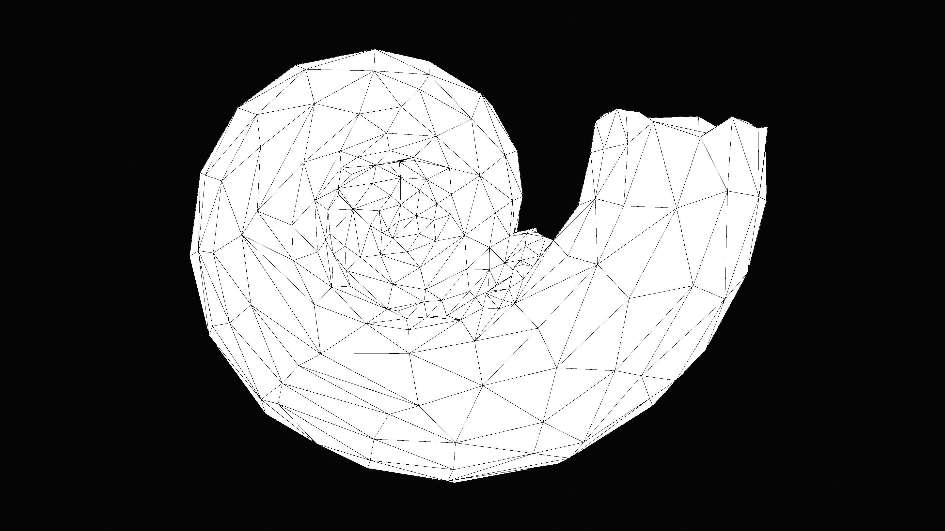 3D model Common Spirula Sea Shell VR / AR / low-poly | CGTrader