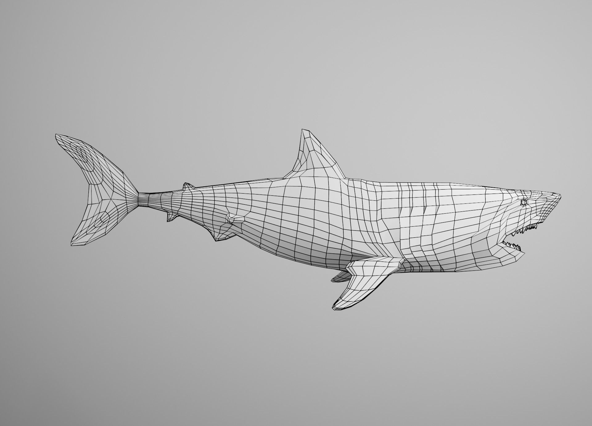 3D model Great White Shark VR / AR / low-poly rigged animated | CGTrader