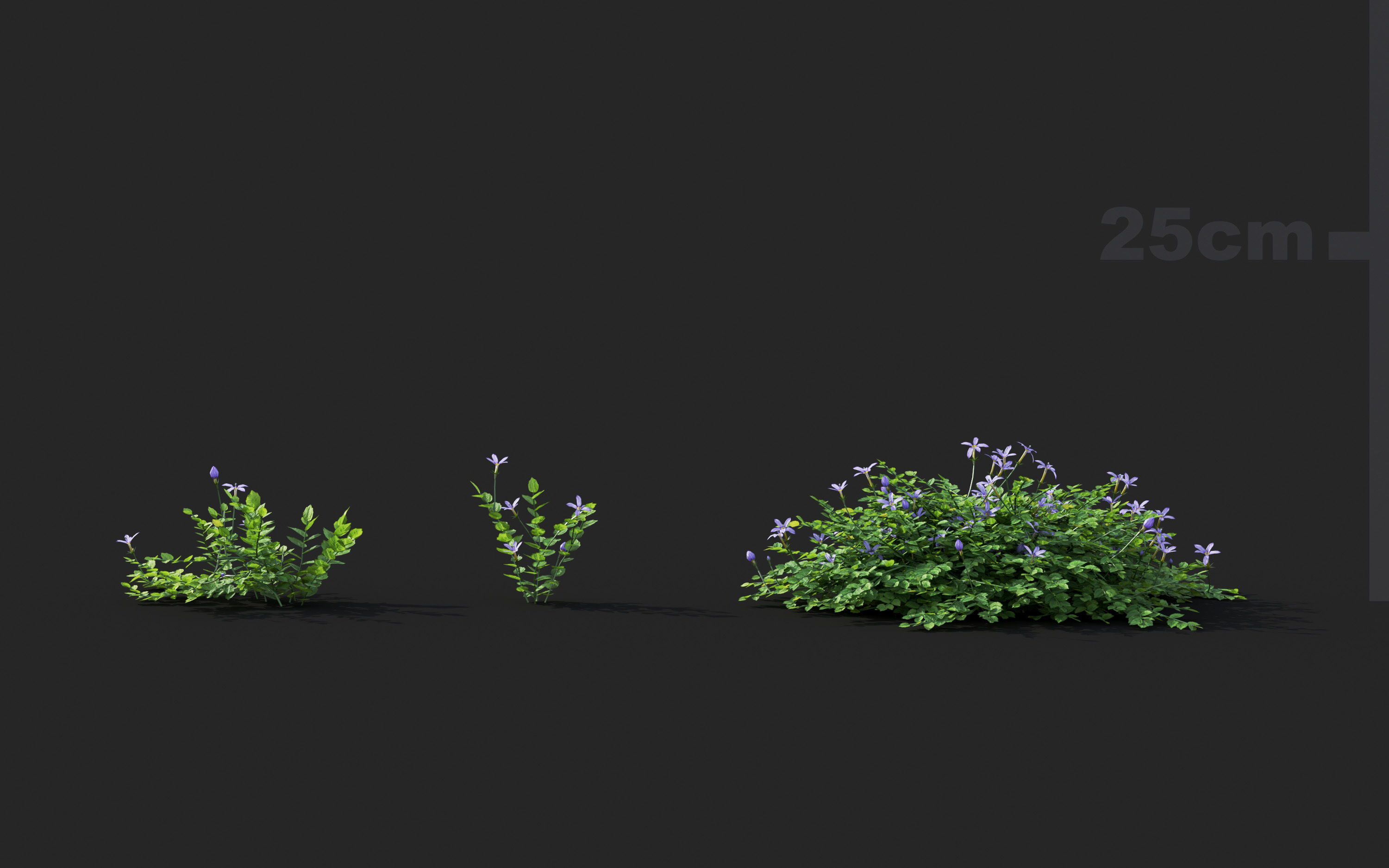 Ground cover plants Collection - Include GrowFX and Mesh file 3D model ...