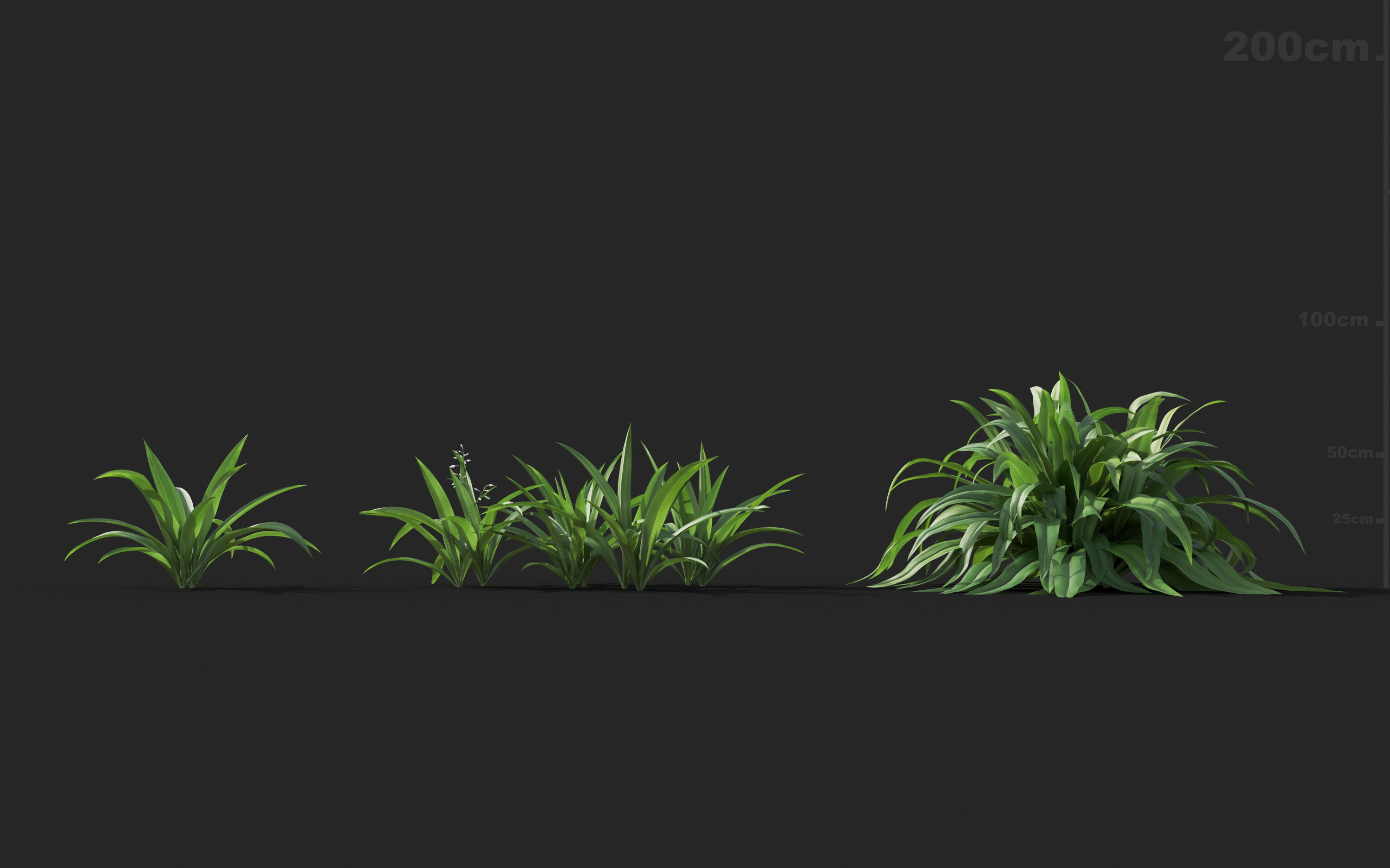 Ground cover plants Collection - Include GrowFX and Mesh file 3D model ...