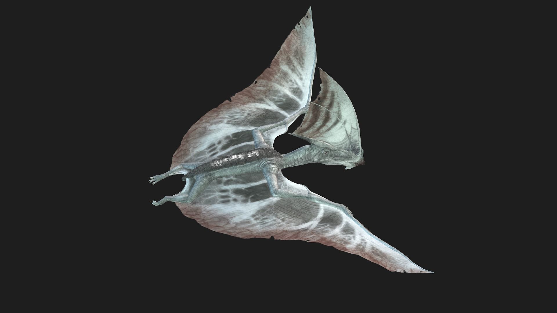 Dinos Flying 3D model | CGTrader