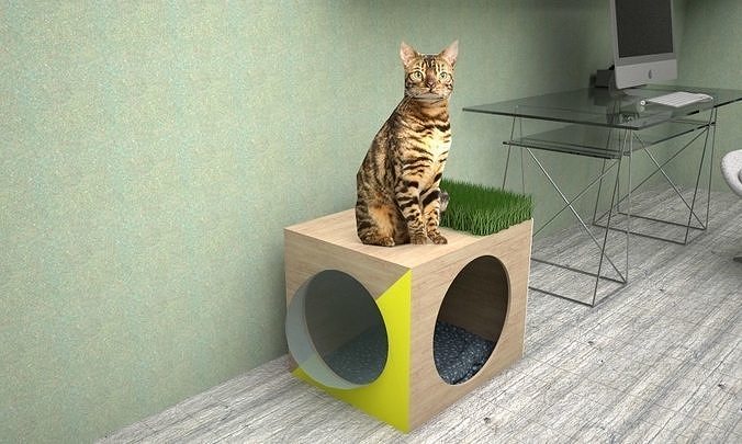 Modern house for cats 3D model | CGTrader