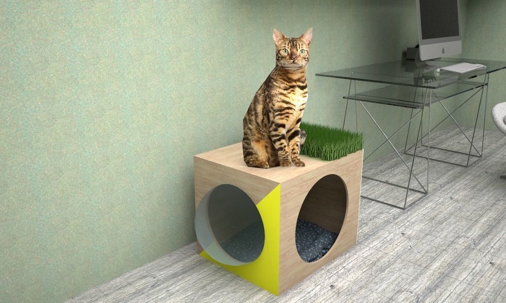 Modern house for cats 3D model | CGTrader
