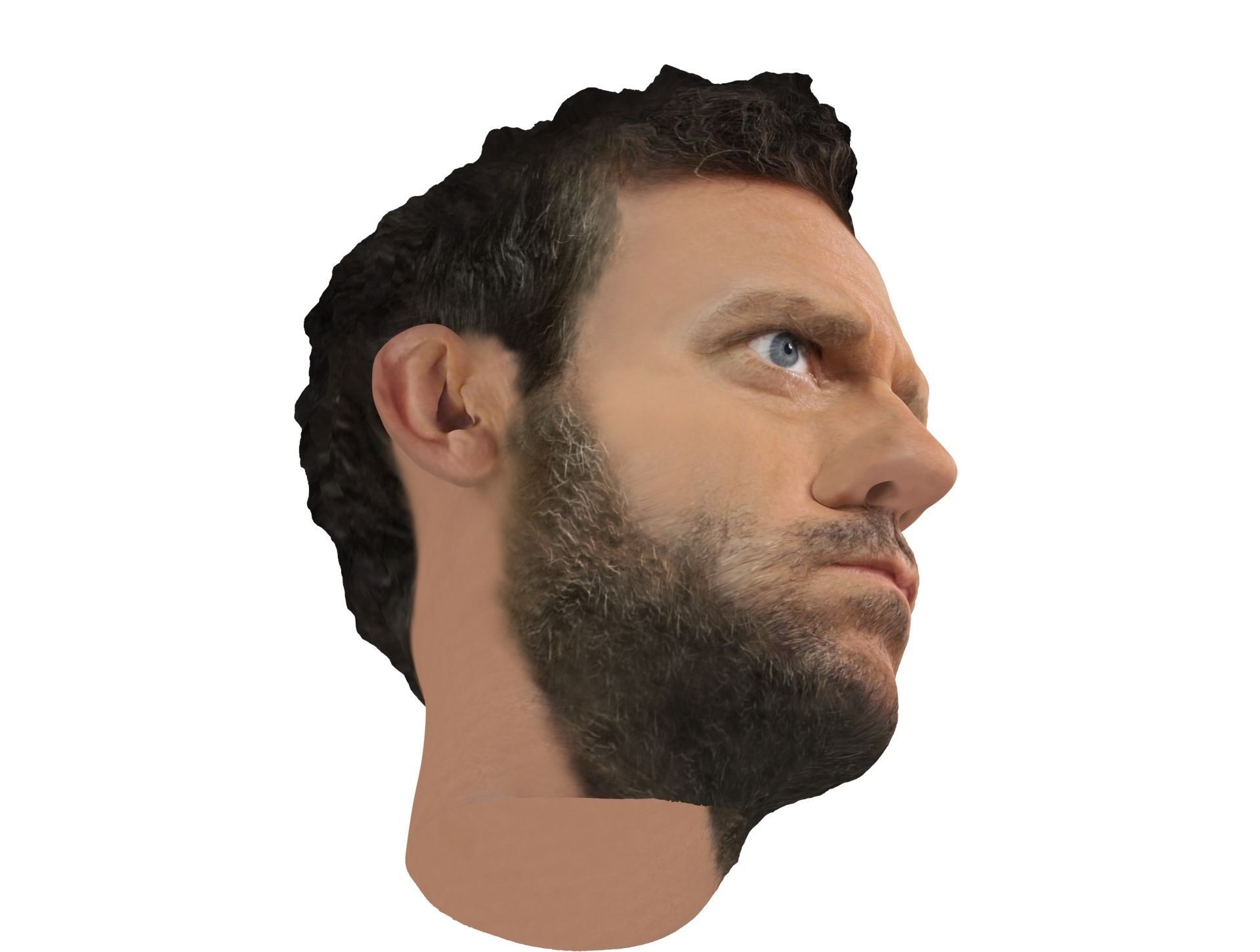 House MD 3D model | CGTrader