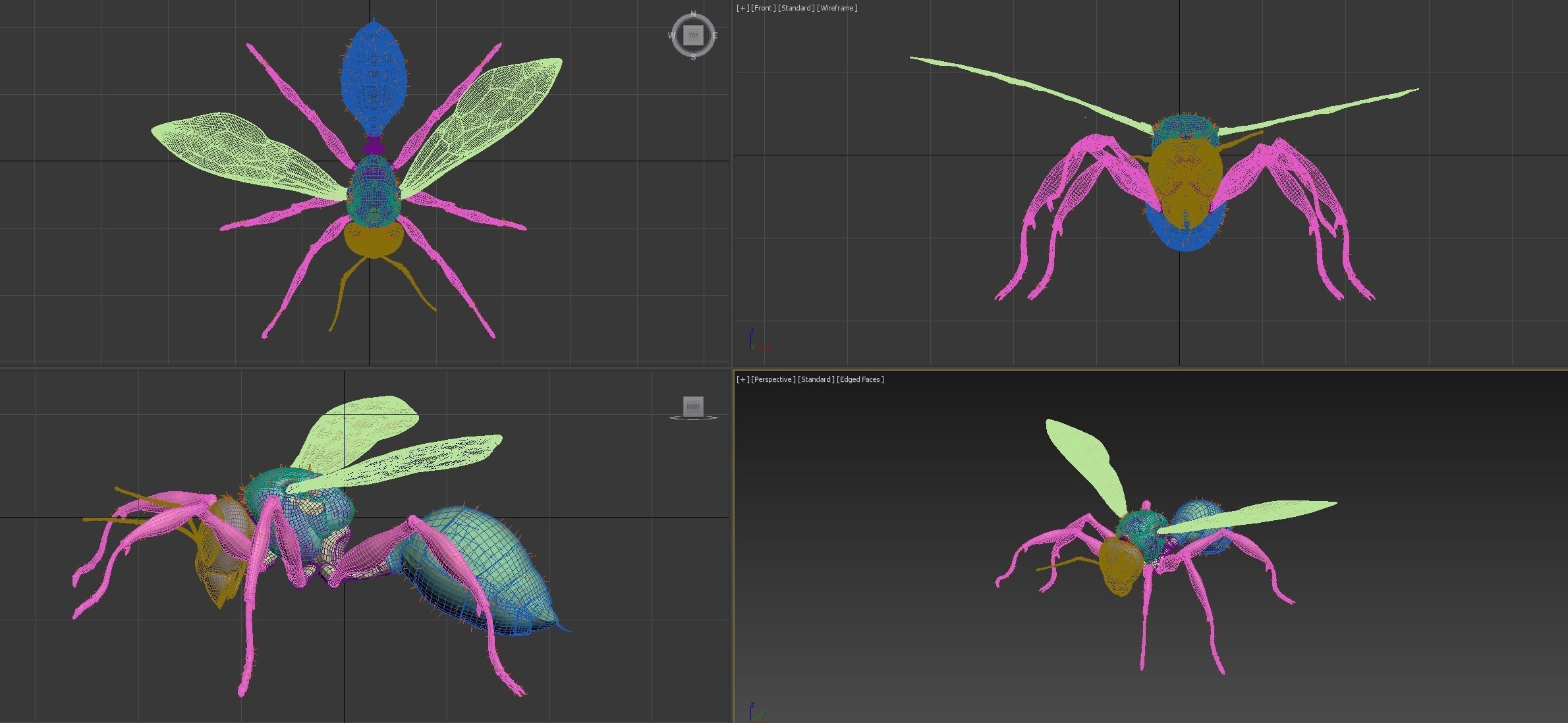 3D model Japanese Hornet Wasp Insect VR / AR / low-poly | CGTrader