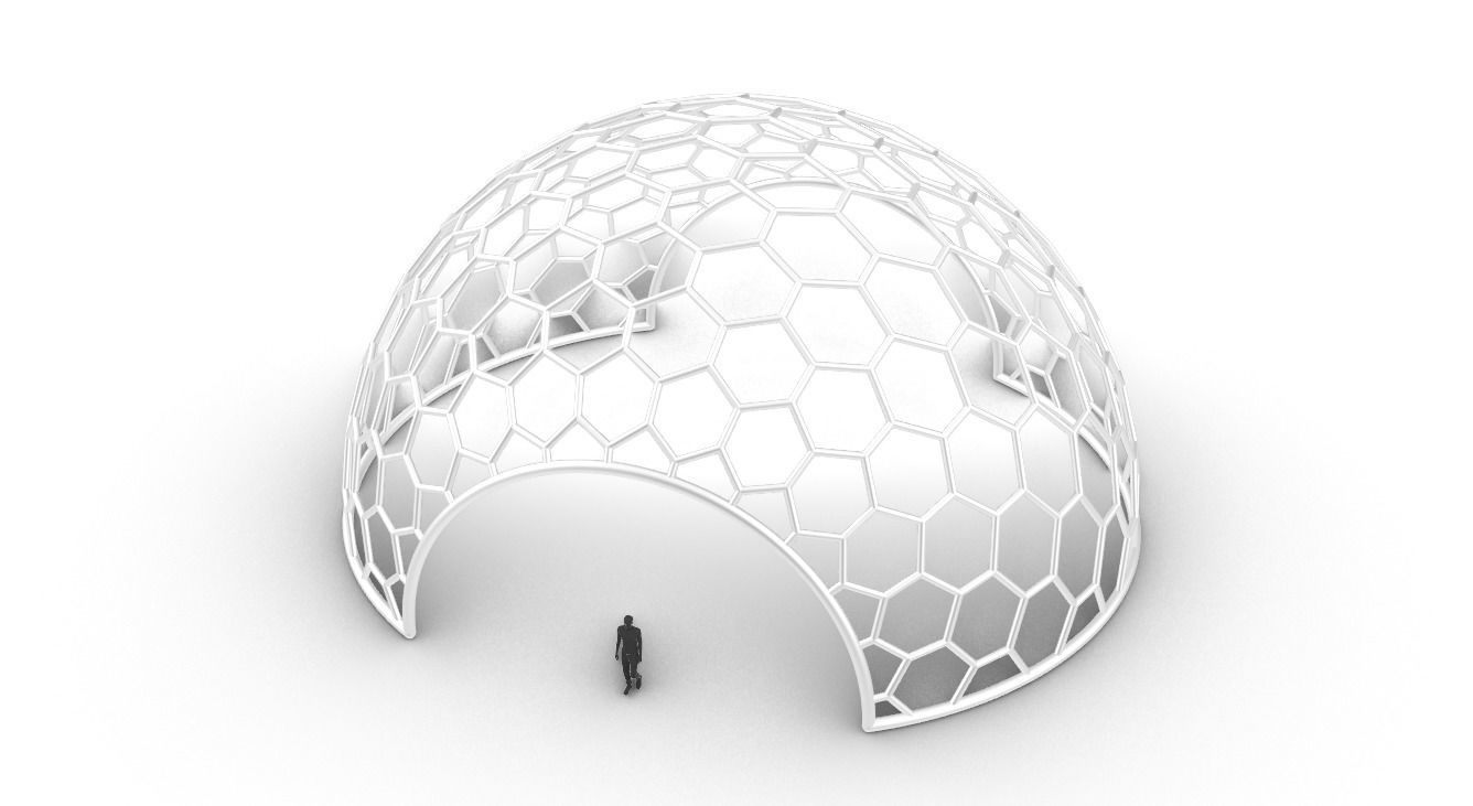 Hexagonal Dome structure Geodesic Like Wireframe Design V3 3D model ...