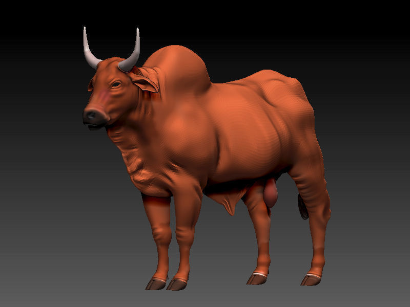 3D Bull 3D model | CGTrader