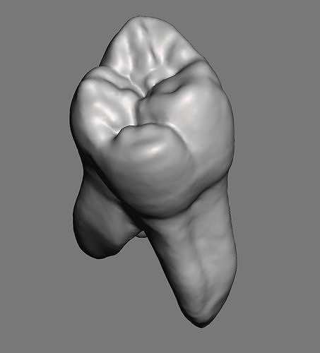 Test piece comparison of STL and STEP free 3D model 3D printable | CGTrader