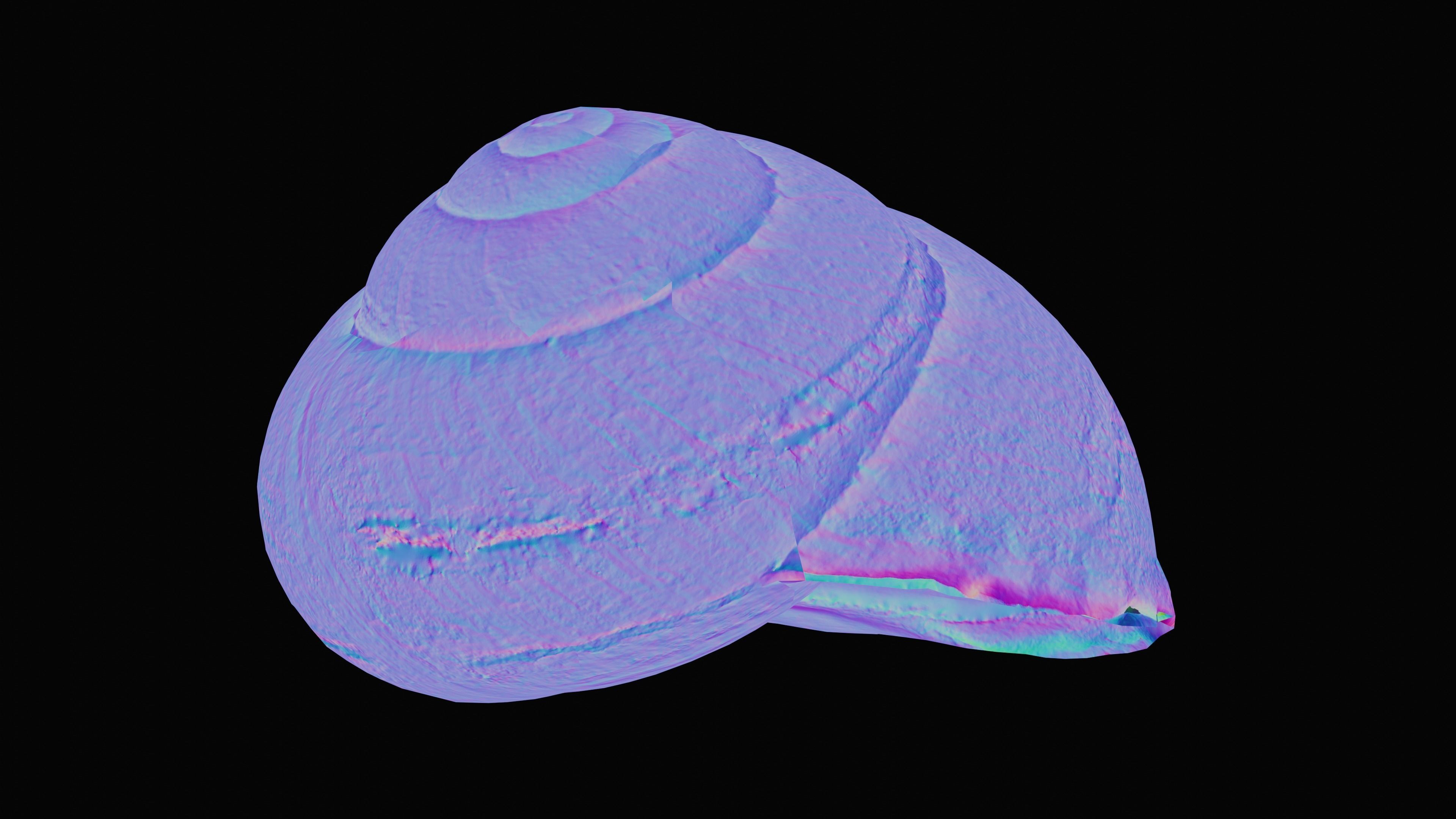 3D model Grove Band Snail Shell VR / AR / low-poly | CGTrader