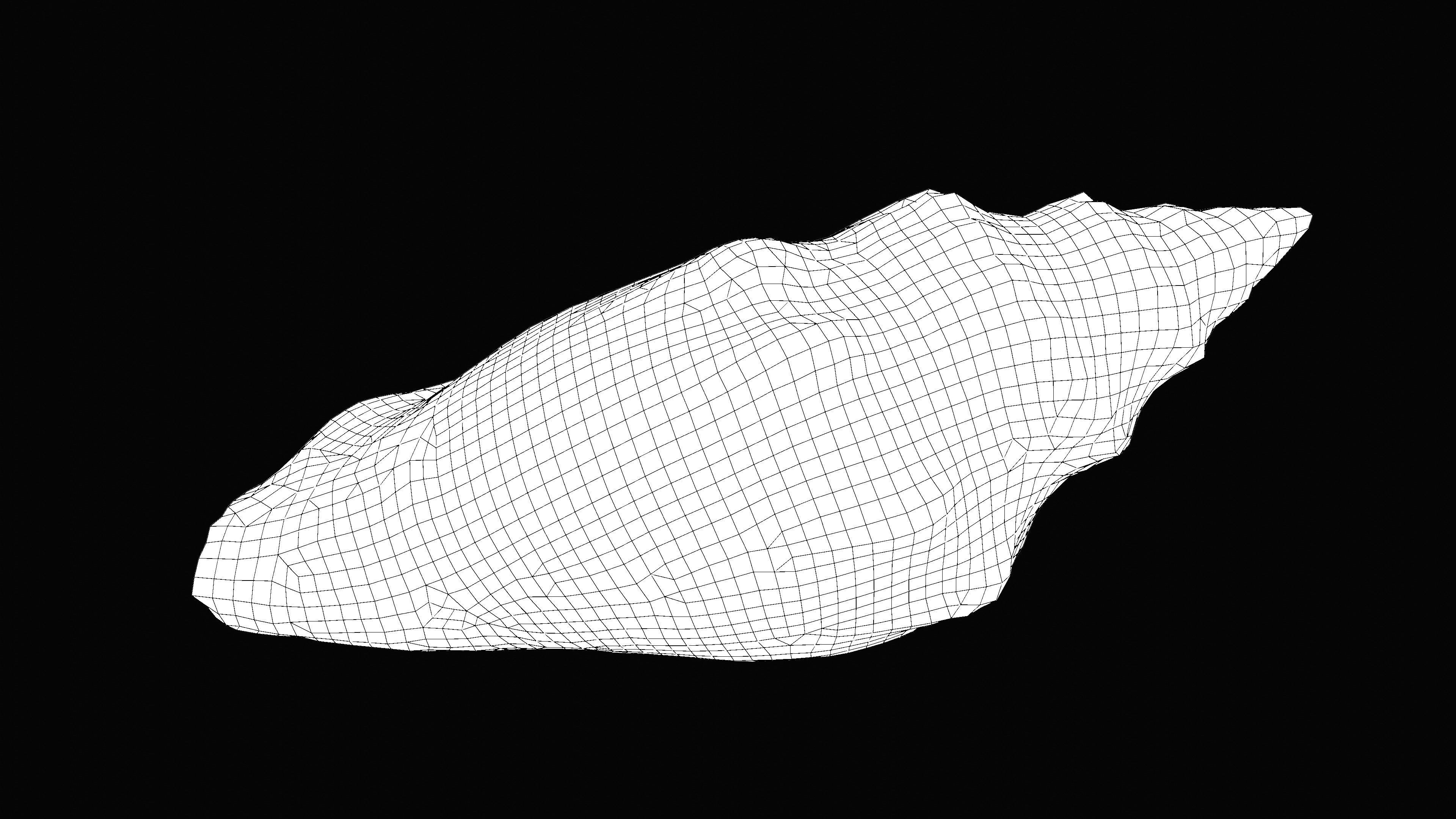 3D model Juvenile Conch Sea Shell VR / AR / low-poly | CGTrader