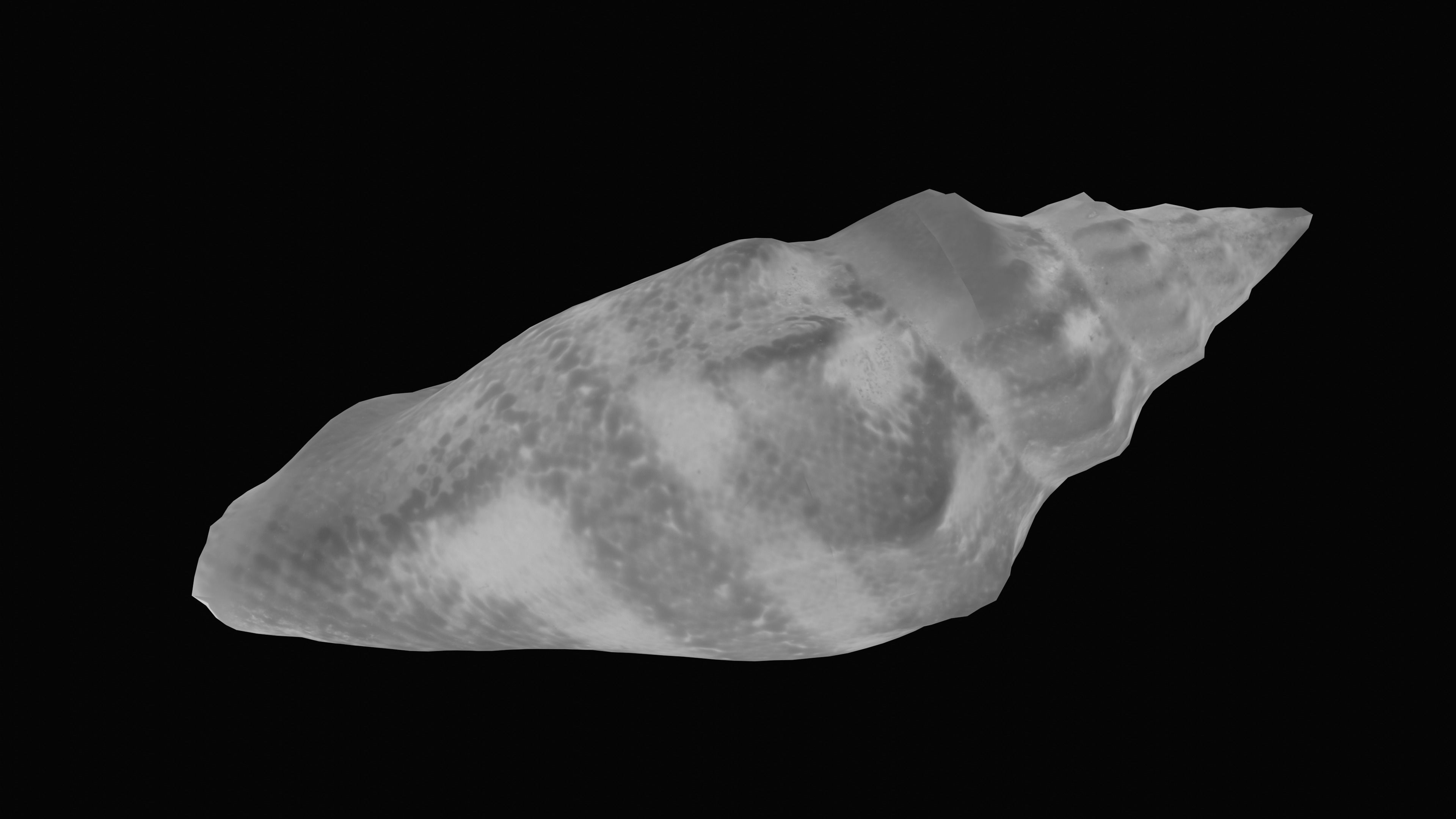 3D model Juvenile Conch Sea Shell VR / AR / low-poly | CGTrader
