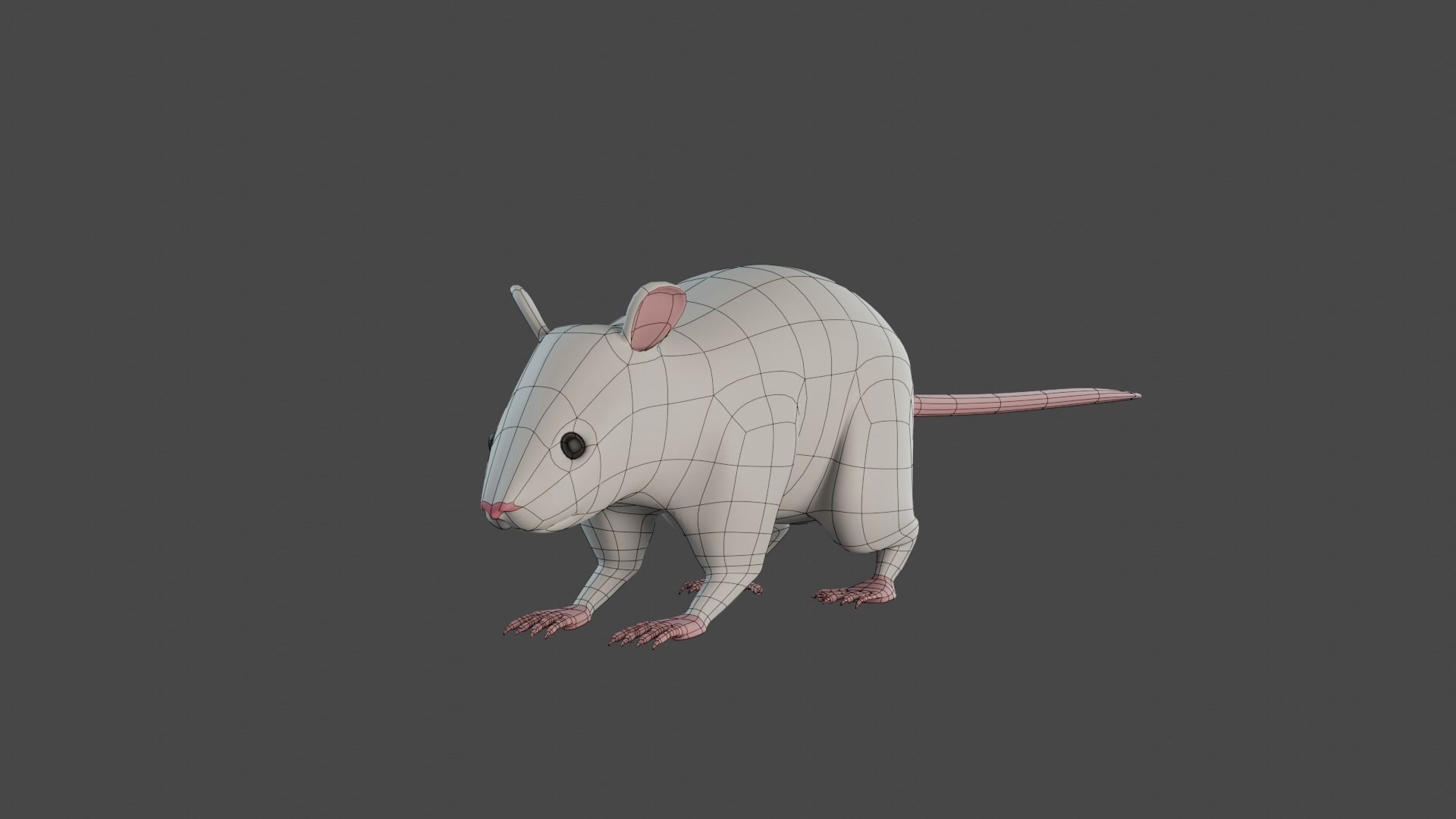 Rat 3d model 3D model | CGTrader