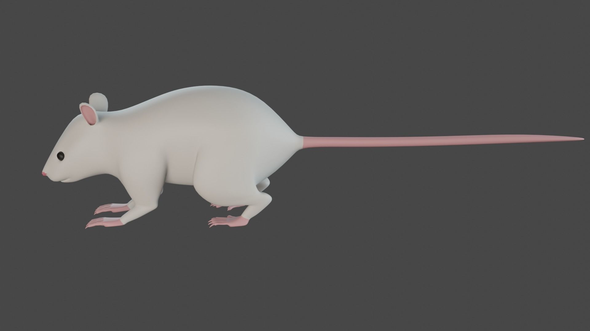Rat 3d model 3D model | CGTrader