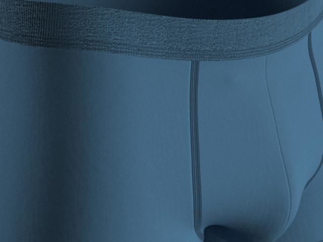 Underwear boxer briefs 3D model | CGTrader